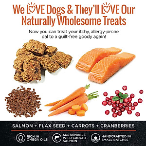 Smart Cookie All Natural Dog Treats - Healthy Skin & Coat Salmon Dog Treats - Ideal for Sensitive Stomachs or Itchy, Allergic, Dry Skin - Dehydrated, Crunchy, Human-Grade, Made in USA - 8oz, Pack of 1