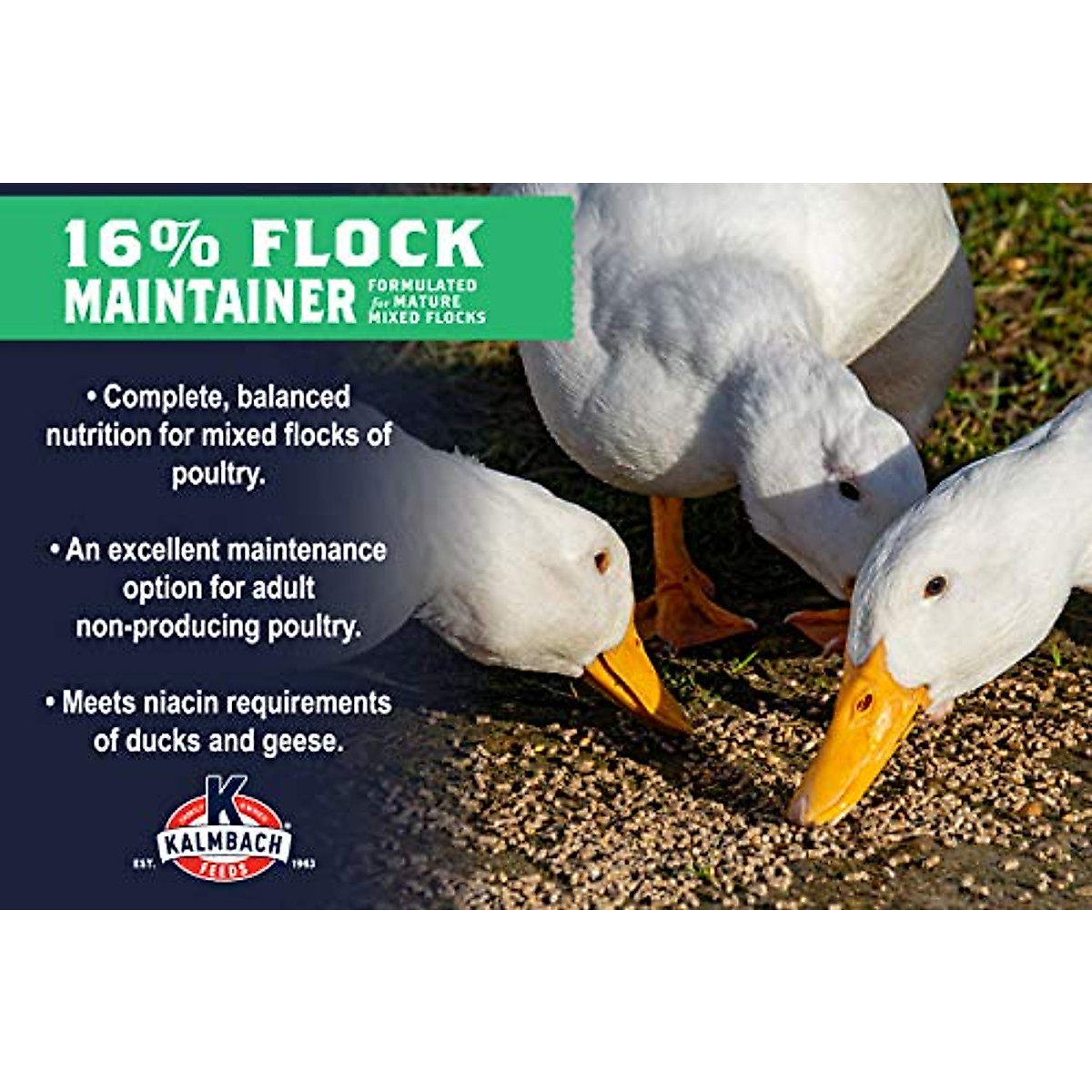 16% Flock Maintainer Pelleted Feed for Mixed Flocks of Poultry, 50 lb Bag