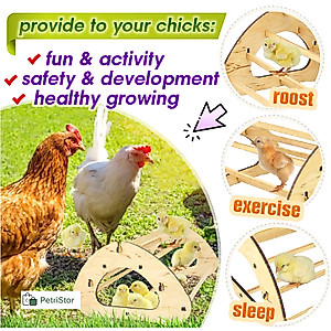 Wooden Chicken Perch for Baby Chick - Chick Roosting Bar with 7 Crossbars - Chick Roost for Brooder - Chicken Roosting Bars - Baby Chick Perch - Baby Chicken Toy
