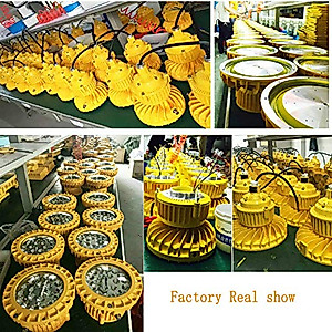 100w led Explosion-Proof Light high Bay Explosion Proof led Light with Exdemb II CT6 and Anti-Corrosion Rating WF2, IP66 Waterproof ATEX LED Gas Station Light (100)