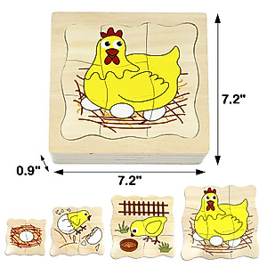 Montessori Wooden Puzzles for Kids Ages 4-8, 4 Layer Life Cycle Jigsaw Puzzle for Toddlers, Children Preschool Learning Educational Puzzles Toys for Boys and Girls (Chicken)