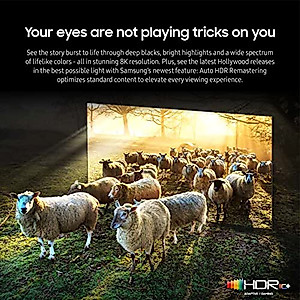 SAMSUNG 65-Inch Class Neo QLED 8K QN800C Series Mini LED Quantum HDR Smart TV with Ultra Slim Design, Dolby Atmos, Object Tracking Sound+, Q-Symphony 3.0, Alexa Built-in (QN65QN800C, 2023 Model)