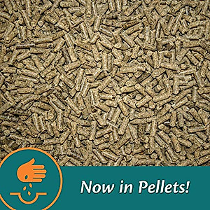 Farnam Cough Free Horse Cough Supplement Pellets, Provides Respiratory Support for Horses with Seasonal Allergies or Stable Cough, 2.5 pounds, 70 Day Supply