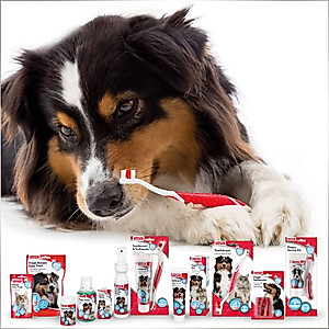 Beaphar Toothpaste for Dogs and Cats, 100g