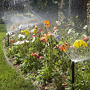 Hunter Industries PROS06 Hunter Pro 6" Pop-up Sprinkler Spray, Small, Black