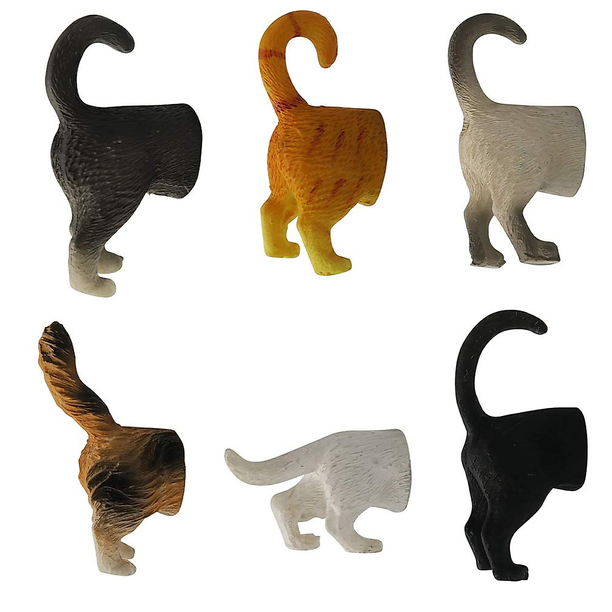 6 Pack - Evelots Refrigerator Magnets-Cat Butts-Photo/Key Holder-6 Popular Breeds