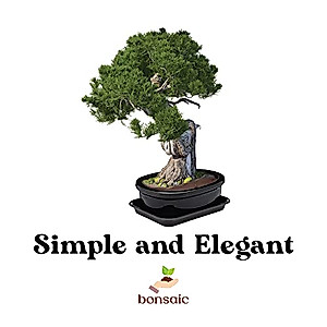 Bonsiac Mini Bonsai Japanese Style Bowl Planters with Seeping Plate - Shallow Planter Pots with Drainage Tray and Terra Cotta Glazed Finish