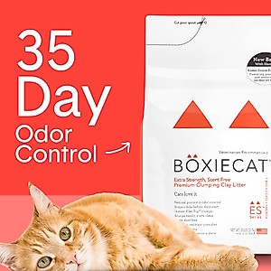 Boxie Extra Strength Cat Litter, 35-Day Odor Control, Clumping Clay, 28lb