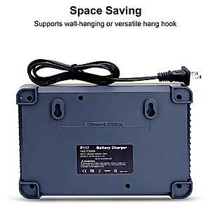 Biswaye P117S Dual Chemistry Fast Charger Compatible with Ryobi 12V-18V ONE+ Battery Lithium NiCad NiMh P102 P190 P189 P108 P105 P103 P107 PBP004 PBP005 PBP003 PBP002
