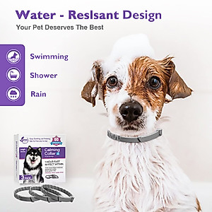 Dogs Calming Pheromones Collar 3 Packs Lasts 60 Days Relieve Reduce Anxiety or Stress 25 Inches Adjustable Relaxing Comfortable Collar Breakaway Design for All Small Medium and Large Dog