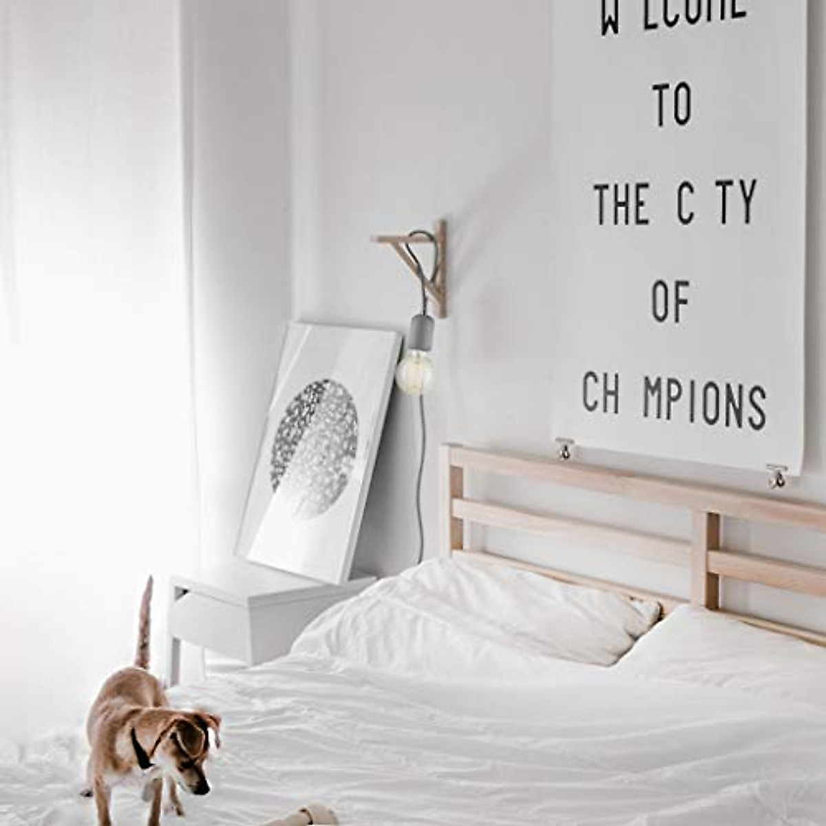 Globe Electric 60W Vintage Edison G30 Vanity Tungsten Incandescent Filament Light Bulb, E26 Standard Base, 245 Lumens