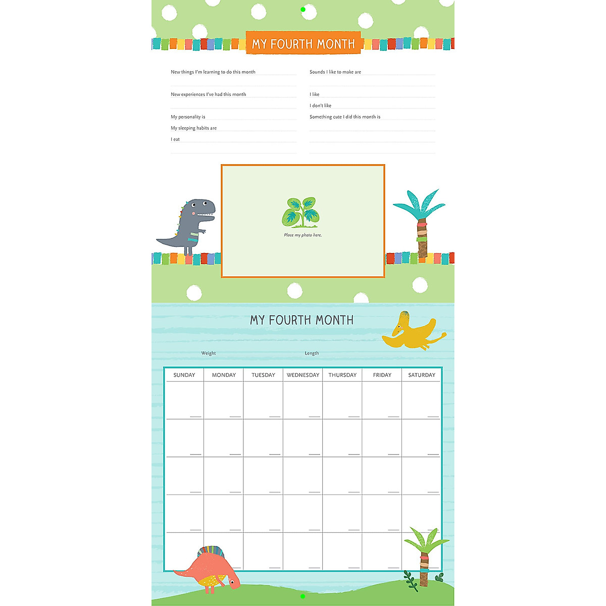 My Life as a Baby: A First-Year Calendar (Dinosaurs)