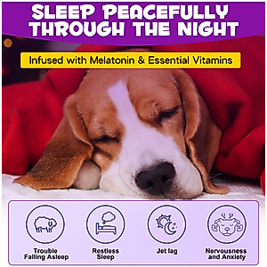 Dog Melatonin - Melatonin for Dogs - Dog Melatonin for Small Dogs - Cat Melatonin - Anxiety & Stress Relief - Promote Relaxation & Deep Sleep for Cat & Dog
