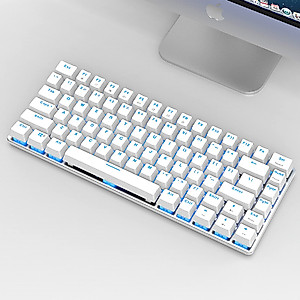 Lomiluskr AK33 Wired Mechanical Keyboard, 82-Keys Compact Mechanical Gaming Keyboard with Anti-ghosting Keys, Small and Portable (Blue Switch/Blue Backlight, White)