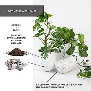 AUBURY White Indoor Plant Pots - Set of 3 Planters with Drainage Holes, 5.1,6 and 7" Diam, Sturdy yet Lightweight for Easy Moving, Modern Flower Pots for Indoor Gardens, Succulents or Hanging Planters