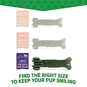 Dr. Dental Large Fresh Chews Dental Dog Treats Clear, Large-18 OZ