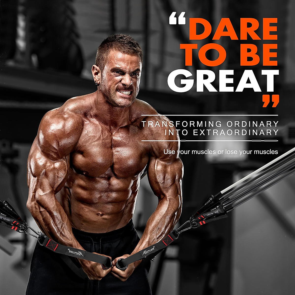 Resistance Band, Exercise Bands with Handles, Workout Bands, Fitness Bands with Door Anchor and Ankle Straps, for Heavy Resistance Training, Physical Therapy, Shape Body, Yoga, Home Workouts Set