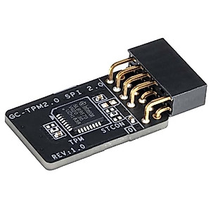 Gigabyte Module TPM 2.0 Compatible Pour Carte mère Intel 400/300 Series ou AMD B350