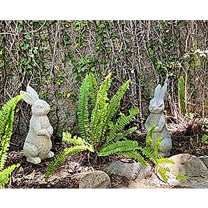 Elly Décor 14 Inch Tall Standing Sculpture for Your Patio & Yard, Outdoor Lawn décor, Cute Ceramic Figurine Garden Rabbit Bunny Statue, Gray Cement