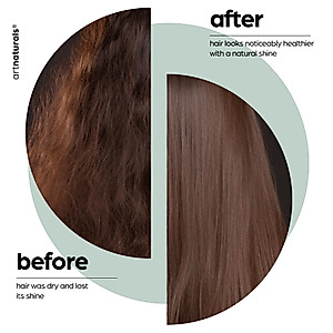 artnaturals Tea Tree Conditioner 16 Fl Oz - Sulfate Free – Made w/ 100% Pure Natural Therapeutic Grade Tea Tree Essential Oil - For Dandruff, Sensitive, Itchy, Dry scalp - For Men & Women