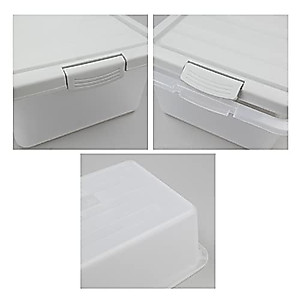 Tyminin 14 L Plastic Storage Box with Black Lids, 2 Packs