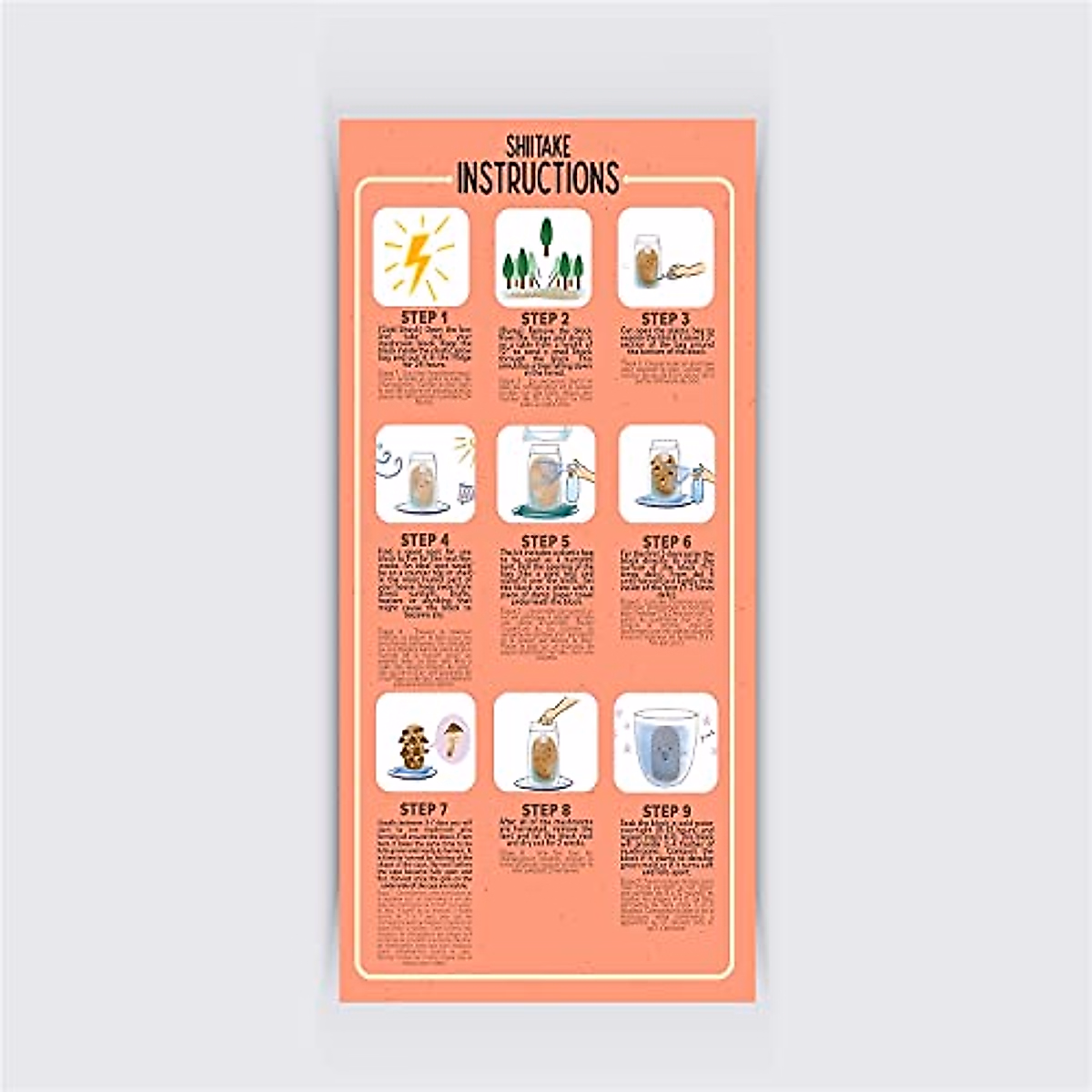 Grow Your Own Organic Mushroom Kit - Shiitake - Indoor Growing Kit by Happy Caps Mushroom Farm