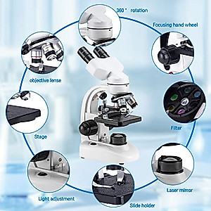 Compound Binocular Microscope, WF10x and WF25x Eyepieces,40X-2000X Magnification, LED Illumination Two-Layer Mechanical Stage