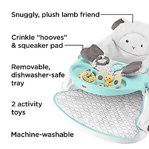 Fisher-Price Sit-Me-Up Floor Seat with Tray