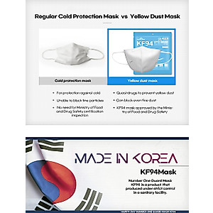 HAPPYDAY A Set of 25 Packages Made in KOREA 2D KF94 Black Face Mask for Adult