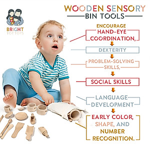 Sensory Bin Tools with Wooden Box, Montessori Toys for Toddlers & Kids, Set of 12 Wood Waldorf Toys for Transfer Work, Sensory Learning & Motor Skill Development