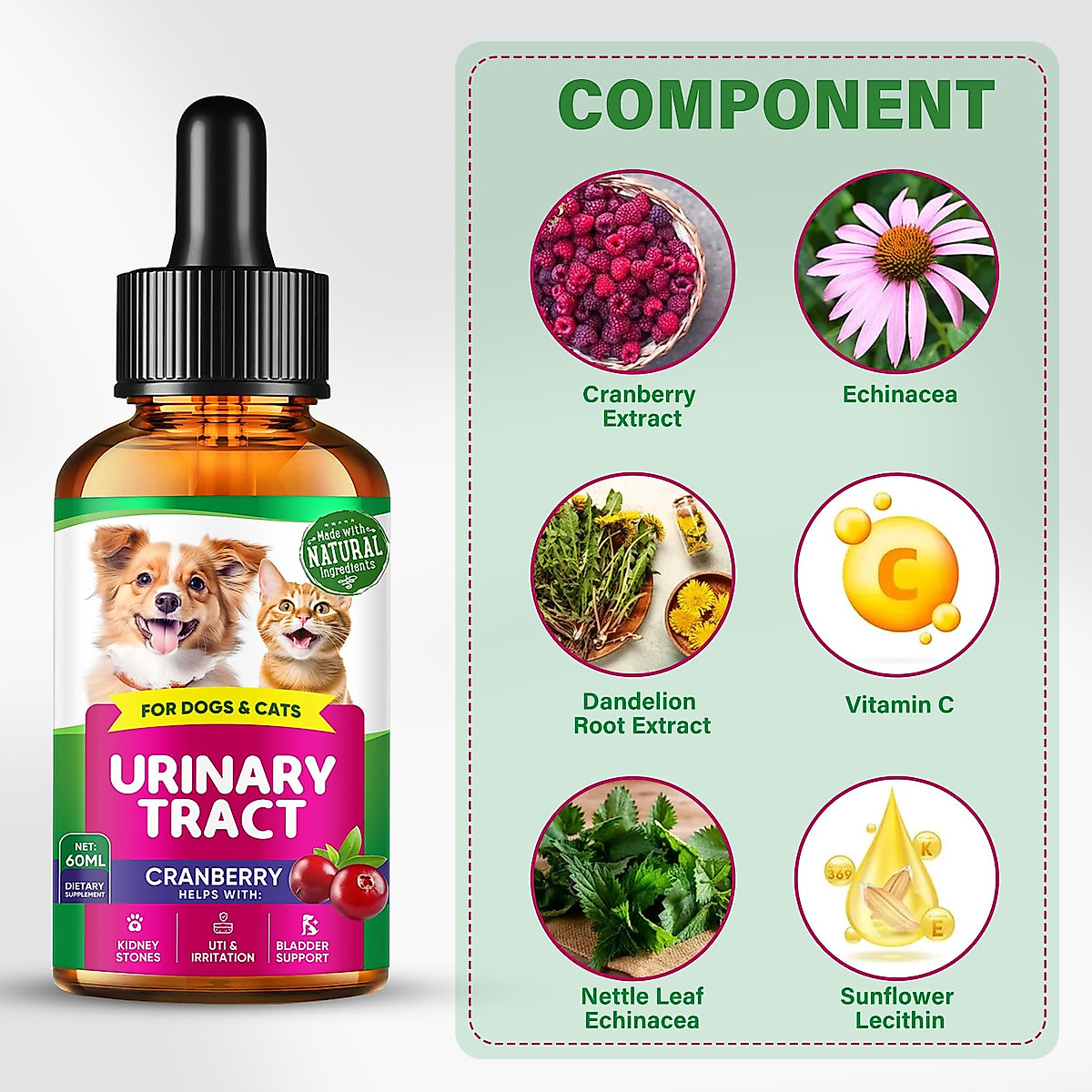 Fancy Pets Cat & Dog Urinary Tract Infection Treatment, Natural UTI Care Drops, Kidney and Bladder Supplement, Prevention Incontinence & Bladder Stones, 60ml (2-AS-RT-UY)