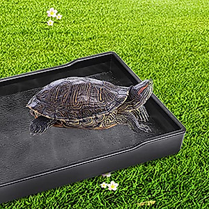 YOLUFER Reptile Food Water Bowl Plate Dish for Tortoise Crawl Pet Drinking and Eating Hallow Water Dish for Reptiles (Size3-L)