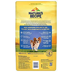 Nature′s Recipe Small Bites Chicken, Barley & Brown Rice Recipe Dry Dog Food, 4 lb. Bag