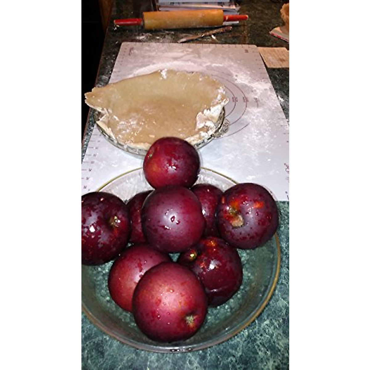 Disposable Apple Maggot Trap Kit 25 Apples, 25 Wire Holders, Two cans of Adhesive.