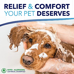 TropiClean OxyMed Hypoallergenic Dog Shampoo for Allergies and Itching, Skin Soothing Shampoo for Pets with Sensitive Skin, Tearless, Cat Safe, 20oz.