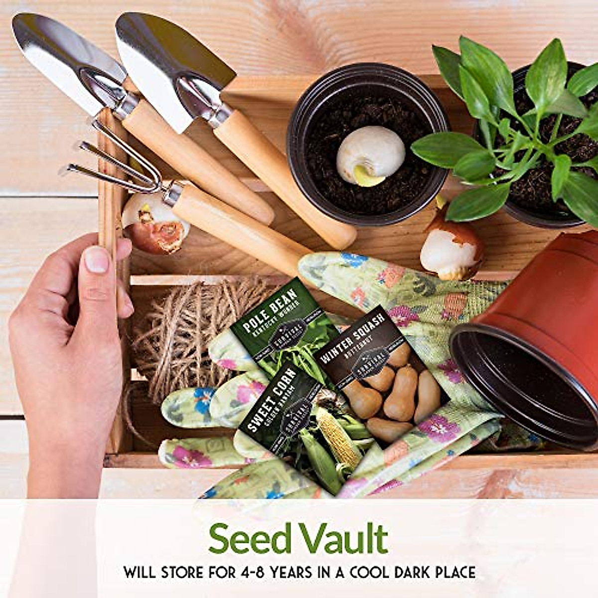 Survival Garden Seeds Three Sisters Collection Seed Vault - Non-GMO Heirloom Seeds for Planting Vegetables - Sweetcorn, Butternut Winter Squash & Pole Beans for Growing on Your Homestead