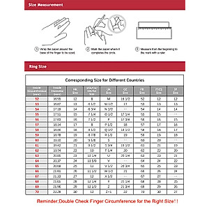 Retro Roman Numerals Ring 925 Sterling Silver Spinner Fidget Ring Band for Men Women Size 9
