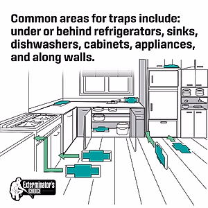 Exterminators Choice All-in-One Bug Spray and Peel and Stick Glue Traps | 32 Ounce and 10 Traps | Natural, Non-Toxic Formula | Safe Around Kids & Pets