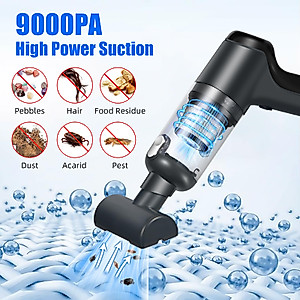 Bug Vacuum Catcher and Cordless Handheld Car Vacuum Cleaner Bundle - Rechargeable, 9000Pa High Power, Multifunctional Suction Nozzles for Home, Office, Car, and Stink Bug Moth Spider Insect Removal