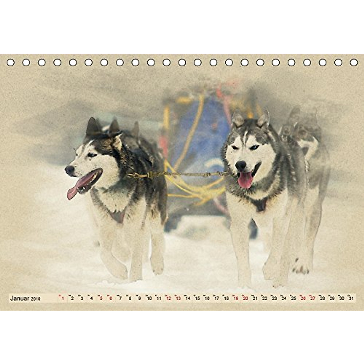 Schlittenhunde 2019 (Tischkalender 2019 DIN A5 quer): Der Kalender ist im kunstvollen Aquarell-Stil gehalten, so dass jedes einzelne Bild einem kleinen Kunstwerk gleicht. (Monatskalender, 14 Seiten )