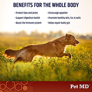Pet MD Bone Broth for Dogs - Dog Food Toppers with Vitamins, Amino Acids, Natural Joint and Digestion Support - Made from Grade A Free Range Elk Bone Powder - 4 oz