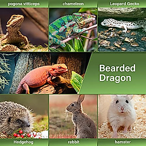 LIKZINWA Bearded Dragon Sling Carrier, Small Animal Carrier Lizard Carrier and Reptile Carrier with Adjustable Strap