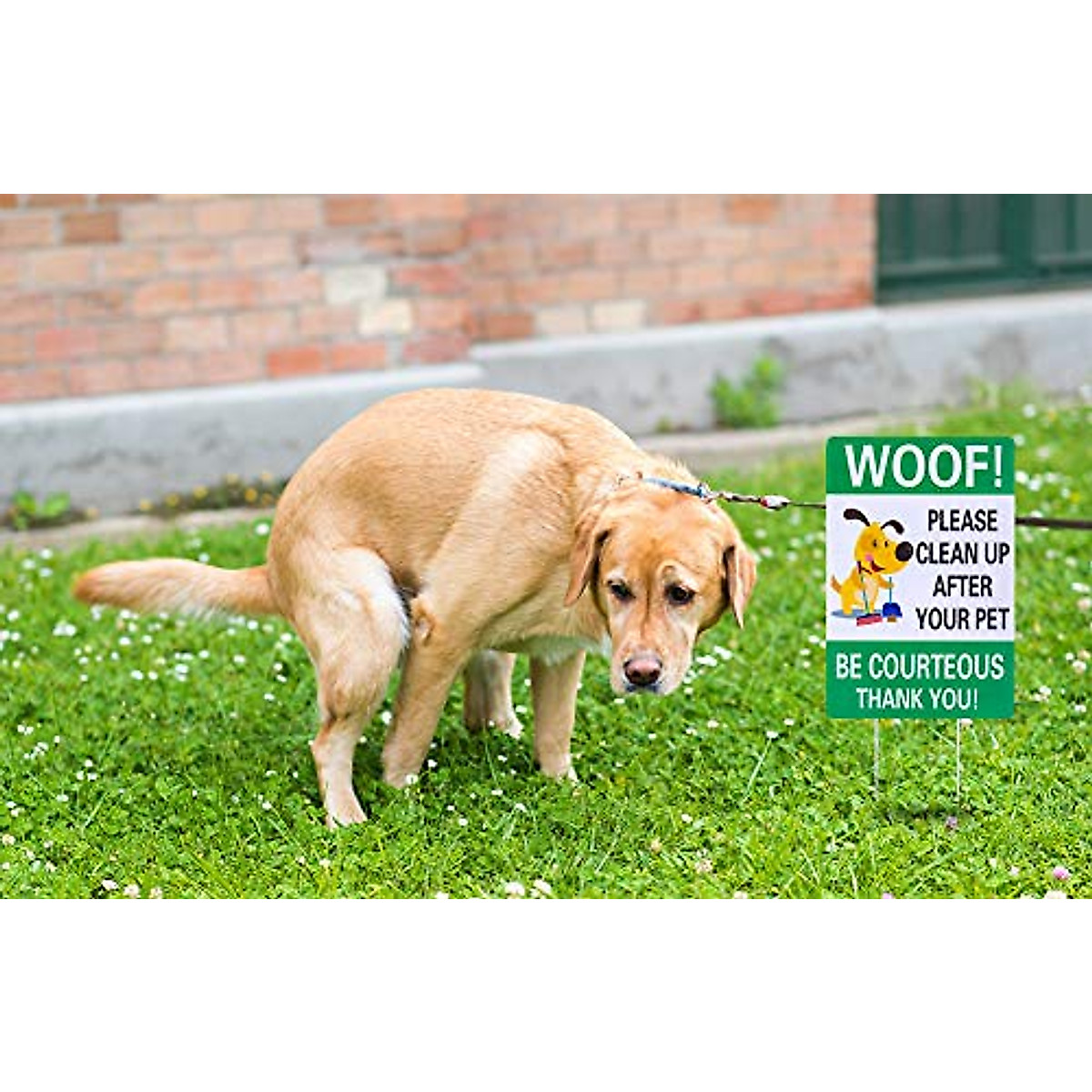 WaaHome Pack of 2 Double Sided Woof Please Clean Up After Your Pet Yard Signs with Stakes, 8"X12" Funny No Poop Pee Dog Yard Sign Lawn Sign