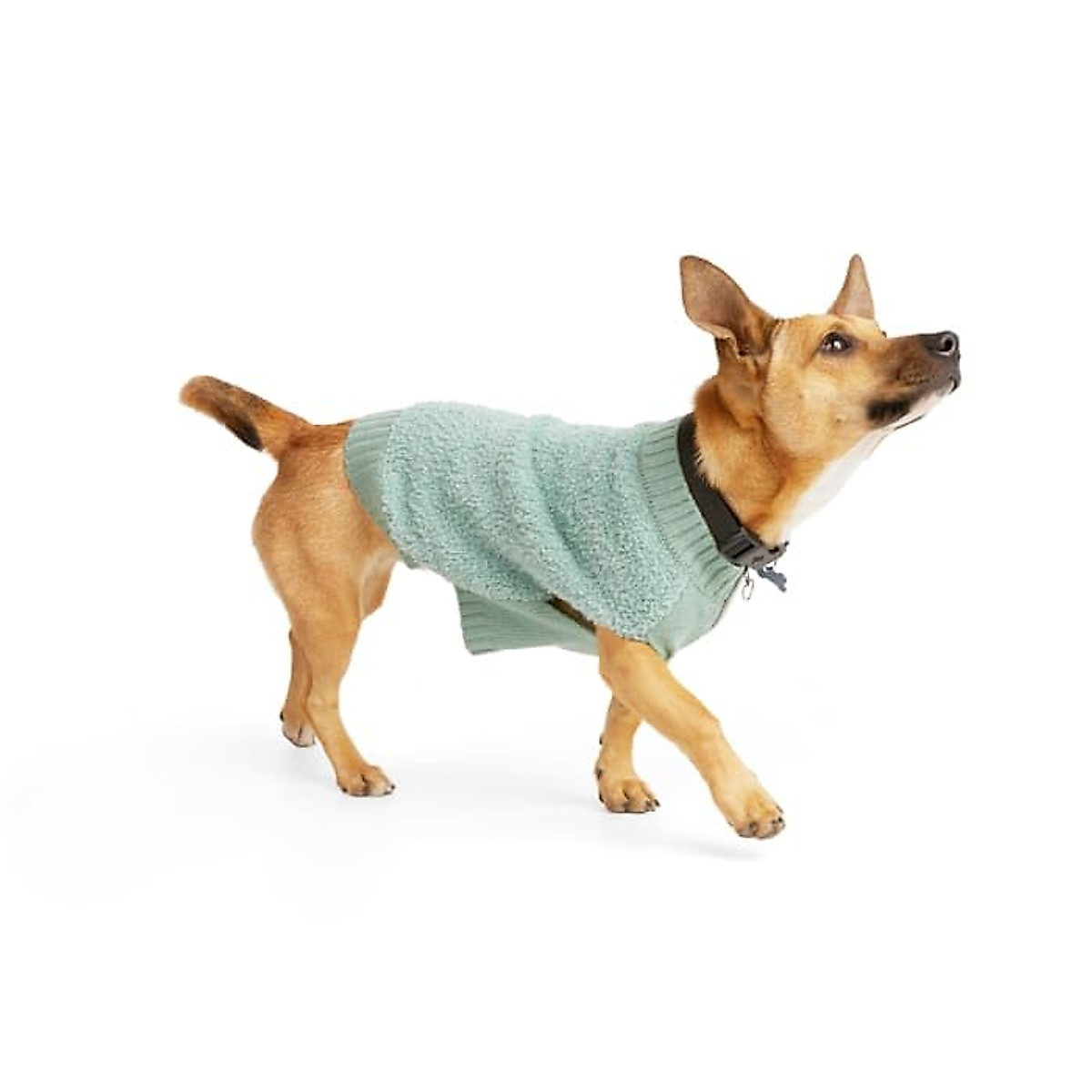 YOULY Sage Fuzzy Dog Sweater, Small