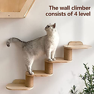 Cat Shelves Cat Wall Shelf and Cat Ladder of 4 Level, Cat Houses Condos for Activity Indoor Cats Furniture Wall Mounted Cat Wall Steps Set with Hexagon Nest Perches 2 PCS Set