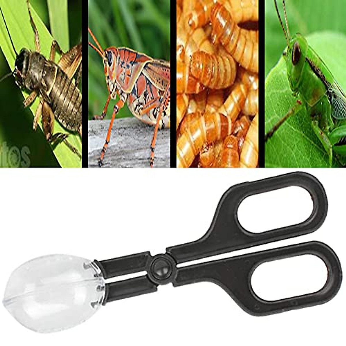 SWENSENLin 3 Pieces Reptile Feeding Clip Tongs Reptile Feeding Scooper Clamp Lizard Beetle Insect Catch Clamp for Tortoise Lizard Frog Spider Tarantulas