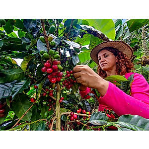 Cafe Don Pedro French Vanilla Low Acid Coffee Pods - Compatible with K-cup Coffee Maker, 100% Arabica, Battles Heartburn, Acidic Reflux, 12 count