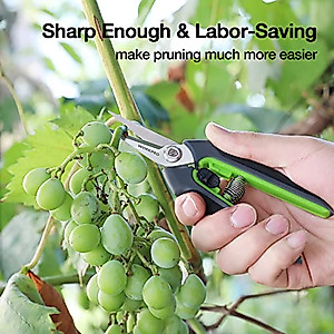 WORKPRO Pruning Shears,6.25'' Gardening Hand Scissors with Sheath,Stainless Steel Straight Blade Hand Pruner for Precision Pruning and Trimming