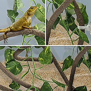 Coolrunner 8FT Reptile Vines and Flexible Reptile Leaves with Suction Cups Jungle Climber Long Vines Habitat Decor for Climbing, Chameleon, Lizards, Gecko