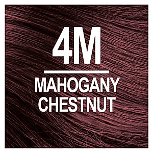 Naturtint 4M Mahogany Chestnut Permanent Hair Color (Pack of 6), Ammonia Free, Vegan, Cruelty Free, up to 100% Gray Coverage, Long Lasting Results (Packaging may vary)